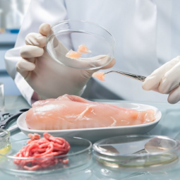 Área Microbiología de Alimentos | FIQ - UNL - ITA